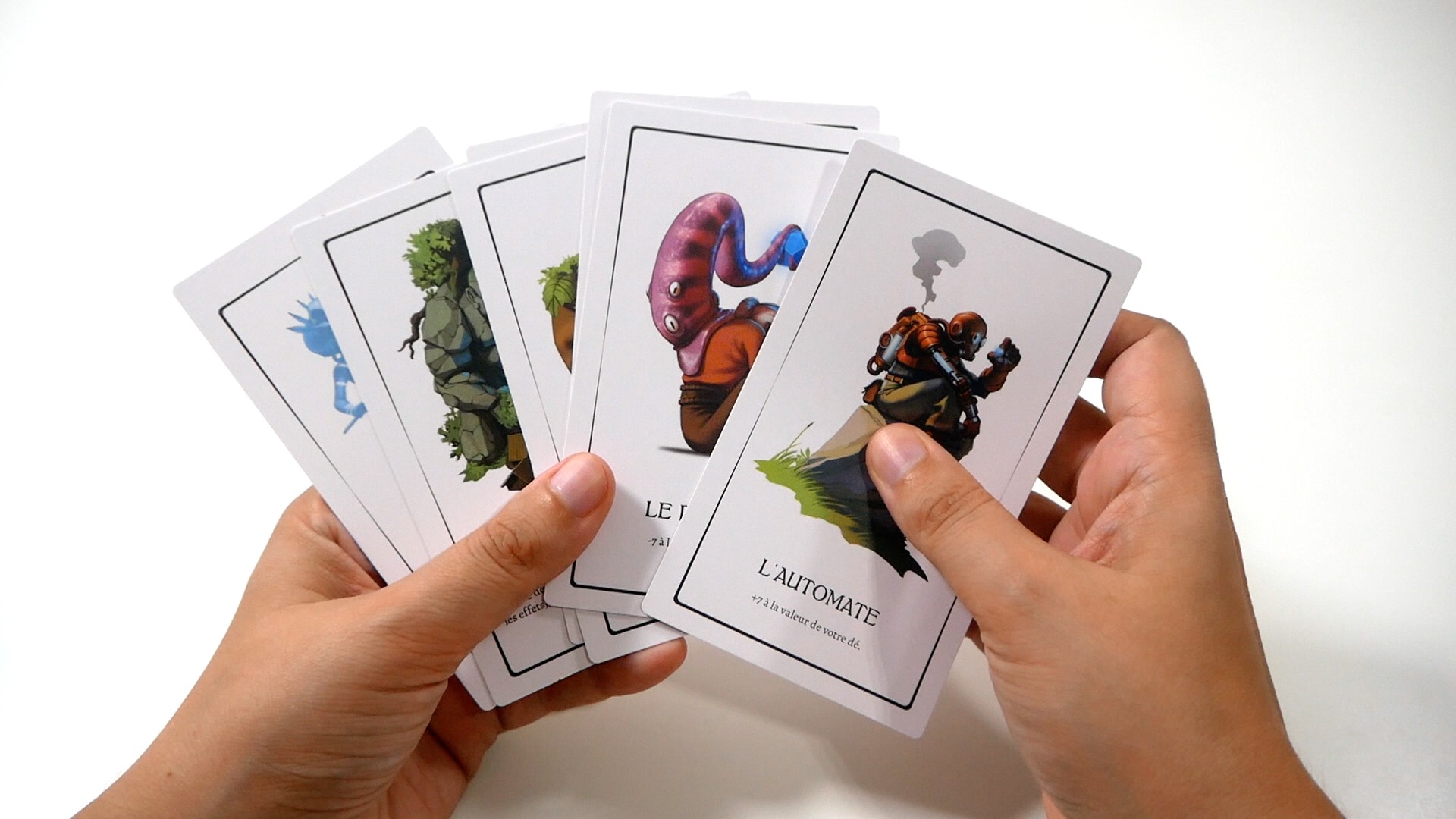 Le Roi des 12 | Dés en Mousse