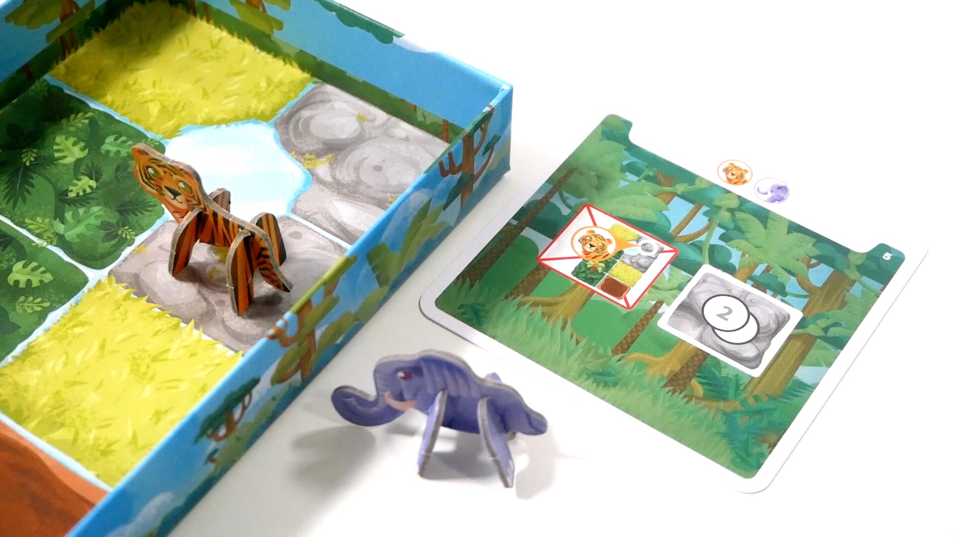 Jungle | Dés en Mousse